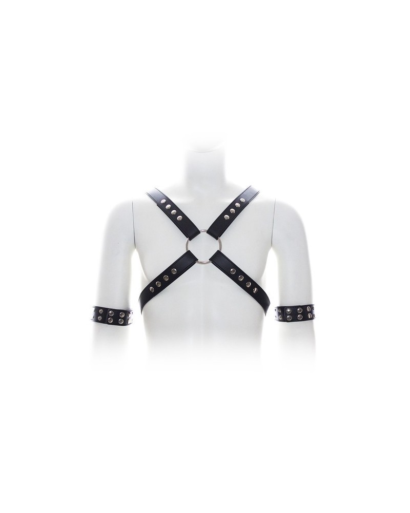 Harnais SM Cross Male Chest pas cher - La Boutique du Hard